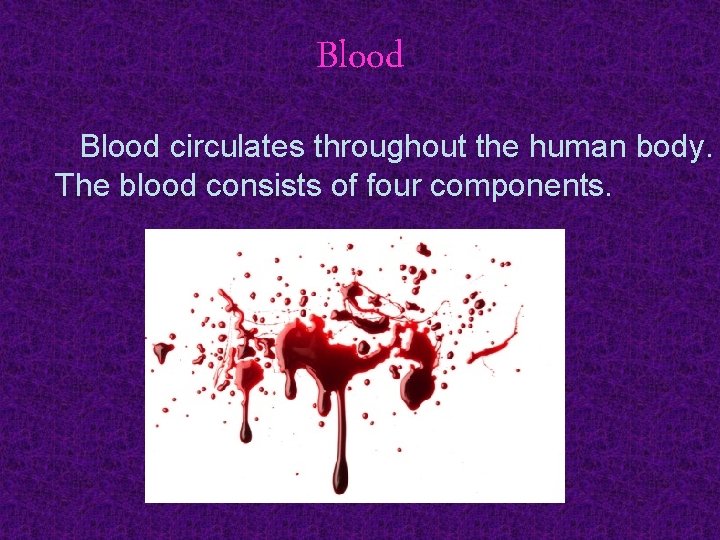 The Circulatory System By Tala Skye Sara Asmaa