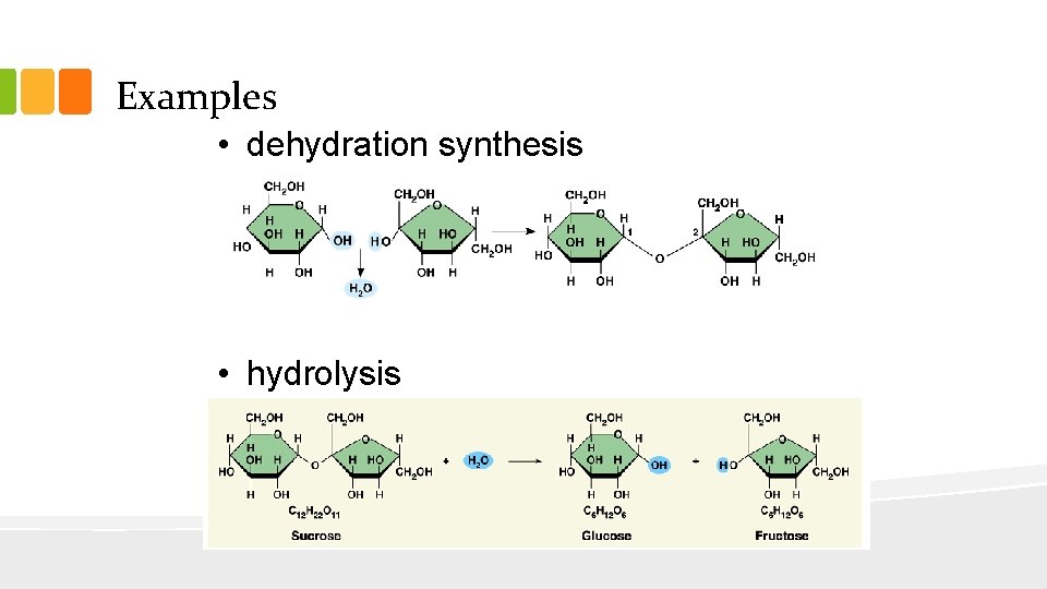Metabolism Flow of energy through life Life is