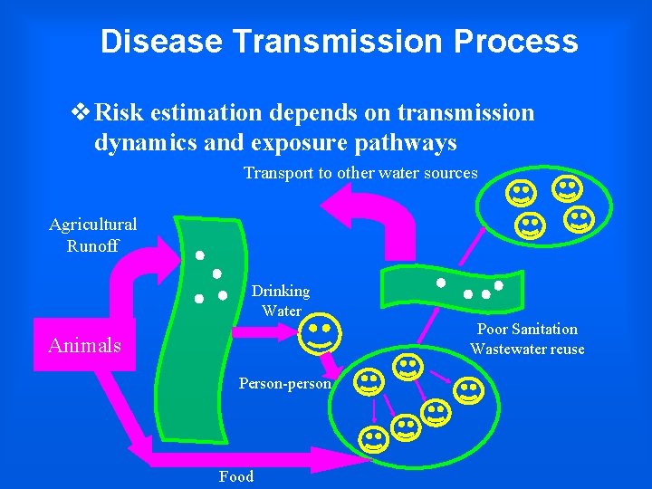 Using Models to Assess Microbial Risk A Case