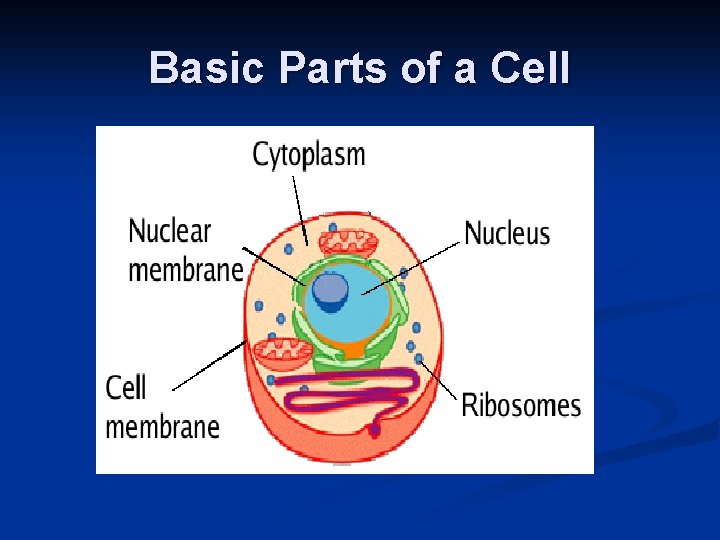 What are Body Systems Chapter 8 lesson 1