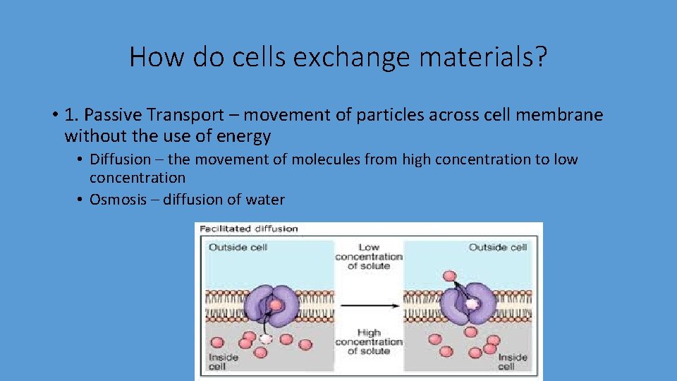 Homeostasis and Cell Processes Homeostasis For your body