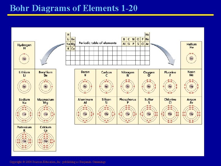 Power Point Lecture Slides for MICROBIOLOGY ROBERT W