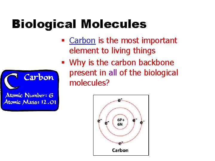 The Chemistry of Life cont Biological Molecules Carbon