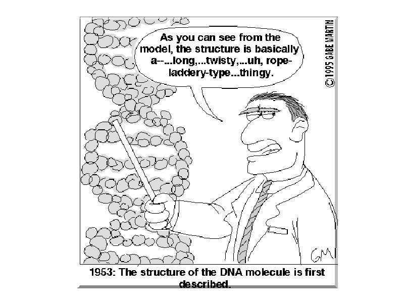 DNA The Blueprint of Life Rosalind Franklin 1952