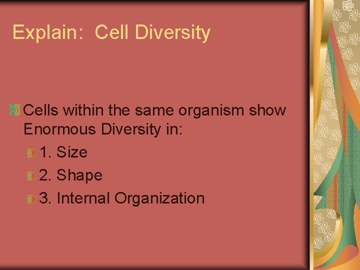 Cells Diversity Size Basic parts And Prokaryotes vs