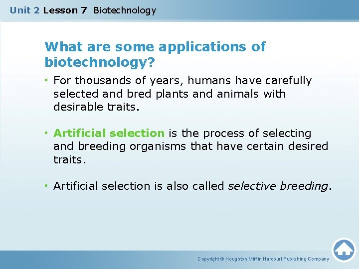 Unit 2 Lesson 7 Biotechnology Copyright Houghton Mifflin