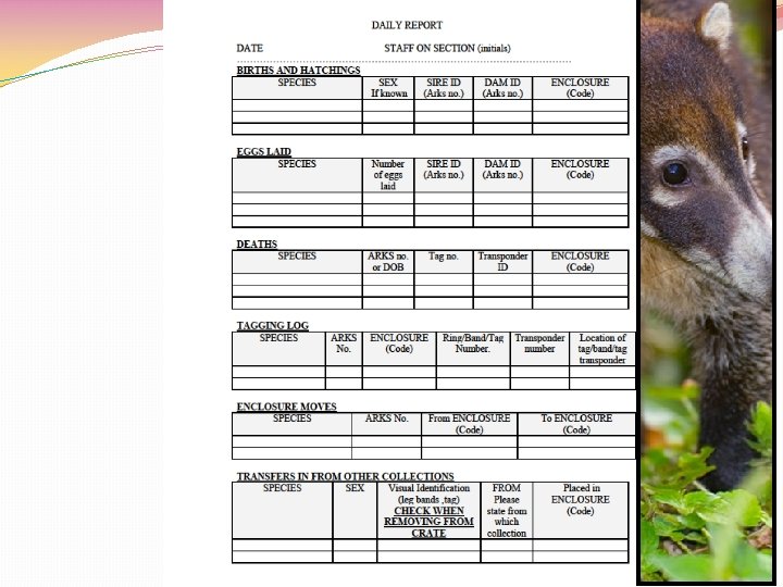 Captive Breeding and Record Keeping Principles of Record