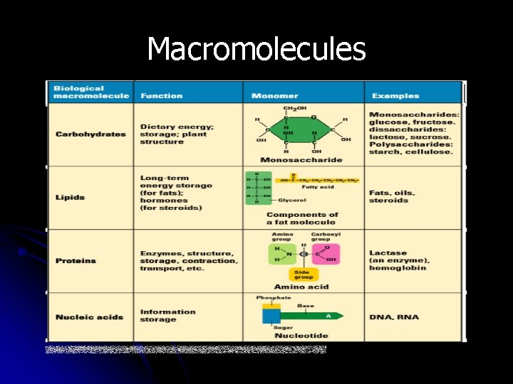 Biochemistry Carbohydrates Lipids Unit 3 Macromolecules l A