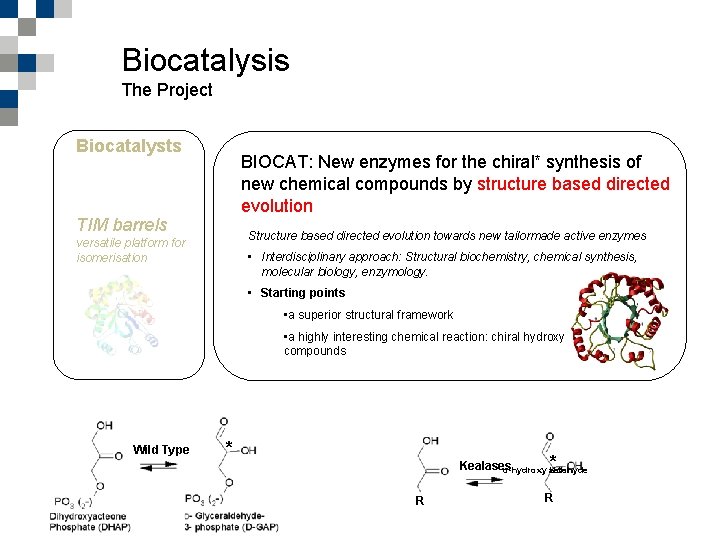 Modular Biocatalyst Platform for Chiral Synthesis of Chemical