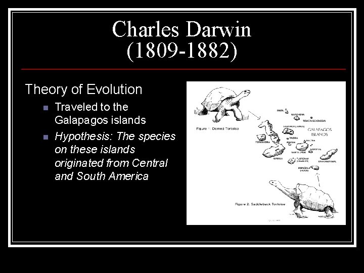 Evolution Change over time What Did They Believe