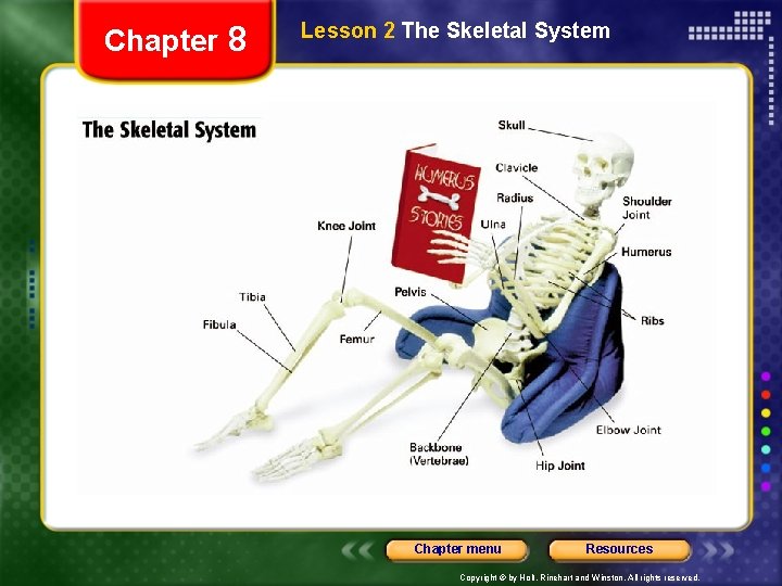 Chapter 8 Lesson 2 The Skeletal System Bellringer