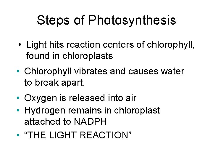 THE BASICS OF PHOTOSYNTHESIS Almost all plants are