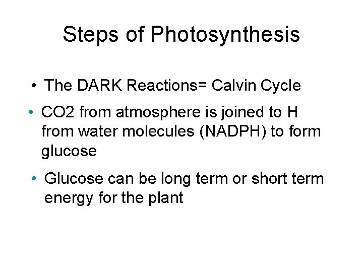 THE BASICS OF PHOTOSYNTHESIS Almost all plants are