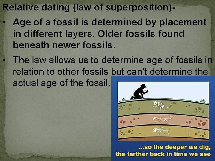 Fossil record 1 Provides evidence about the history