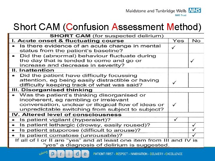 An Dementia Behaviours that Challenge Liz Champion Lead