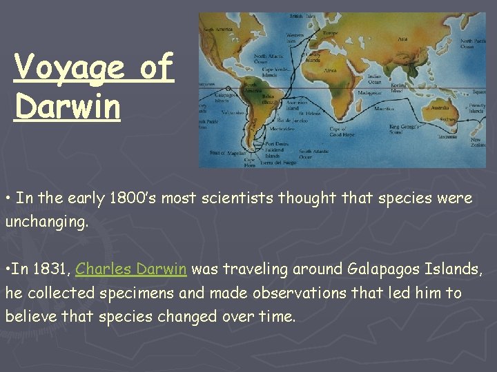 Evolution Natural Selection and Adaptations Charles Darwin Brain