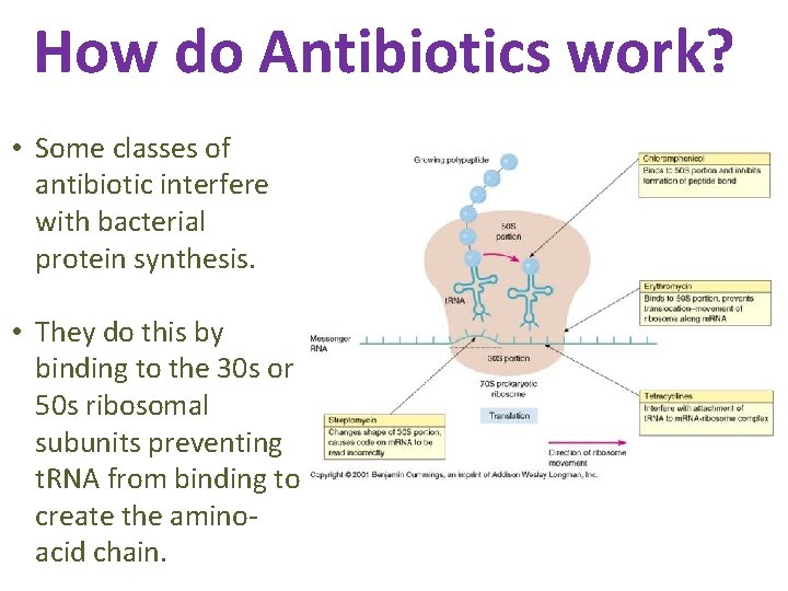 Antibiotics It was on a shortcut through the