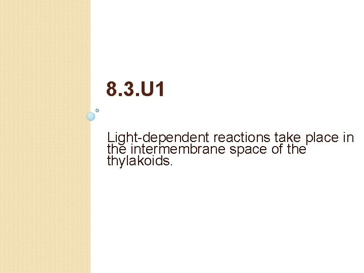 IB DP Biology Unit 8 3 Photosynthesis HL