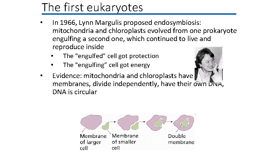Welcome to Earth 4 billion years ago sterile