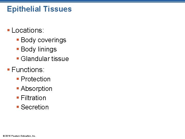Chapter 3 Cells and Tissues Lecture Presentation by