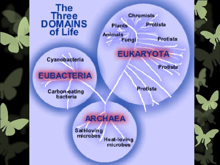 Microbiology Microorganisms in our world They are diverse