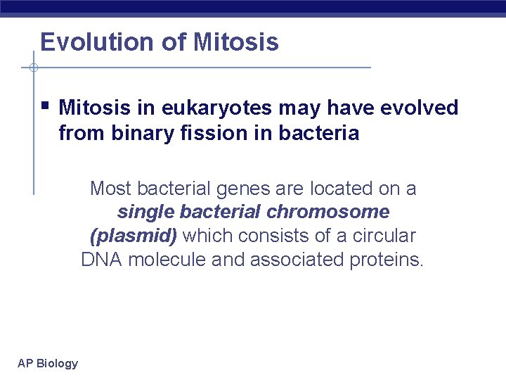 The Cell Cycle and Cancer AP Biology Functions