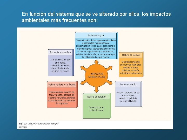 UNIDAD 2 LA HUMANIDAD Y EL MEDIO AMBIENTE