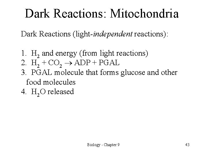 Reactions of Photosynthesis Biology Chapter 8 1 Cellular