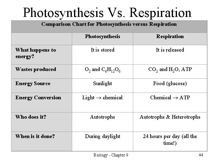 Reactions of Photosynthesis Biology Chapter 8 1 Cellular