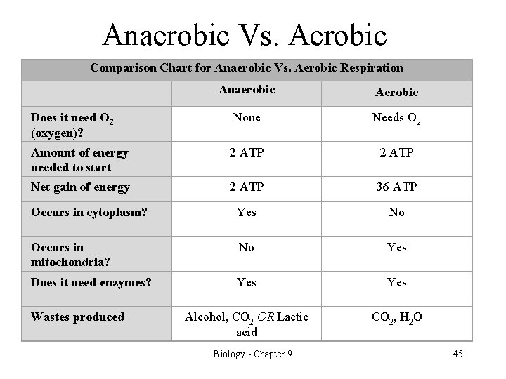 Reactions of Photosynthesis Biology Chapter 8 1 Cellular