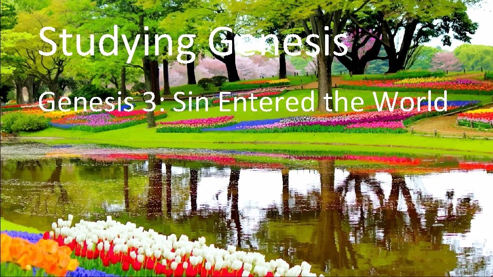 Welcome Sunday Bible Classes Worship Wednesday Bible Classes