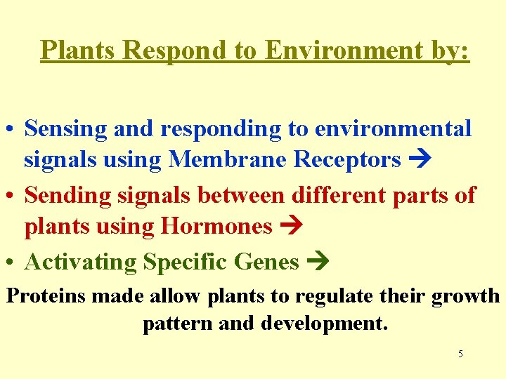 Botany 4 Lectures 25 and 26 Plant Sense