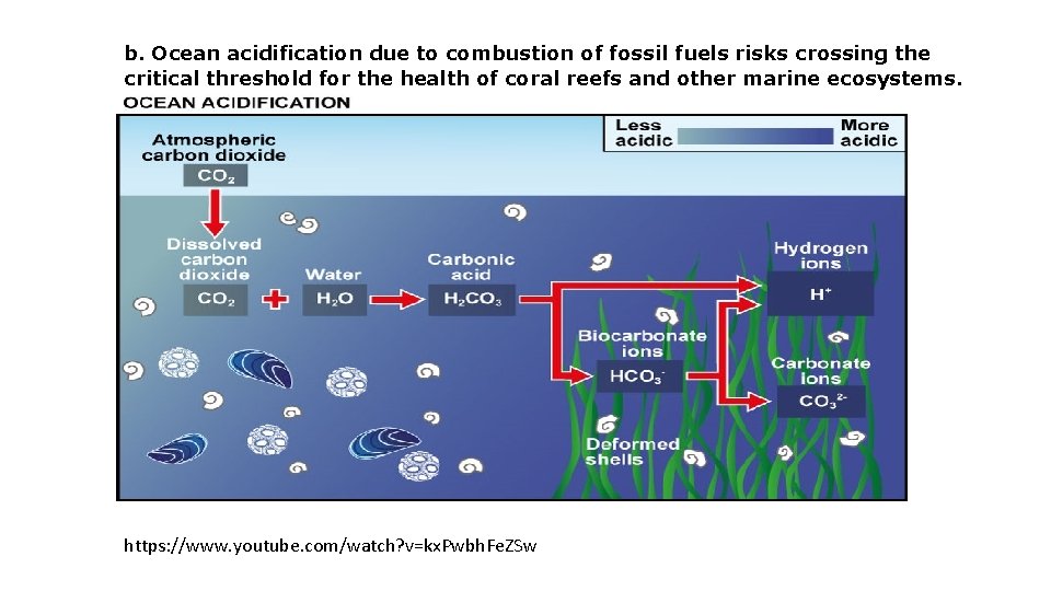 6 7 Biological carbon cycles and the water