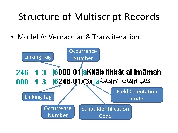 Batchconversion of Nonstandard Multiscript Records by XSLT Lucas