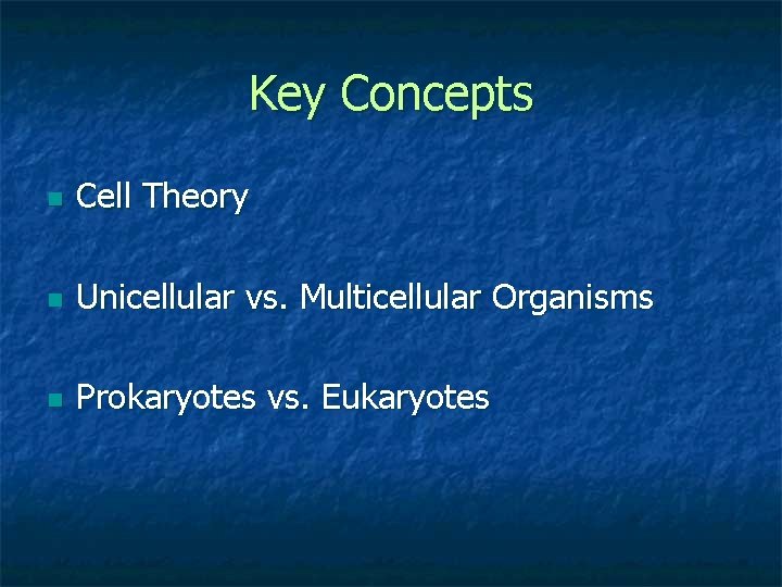 An Introduction to Cells Indicator B 2 1