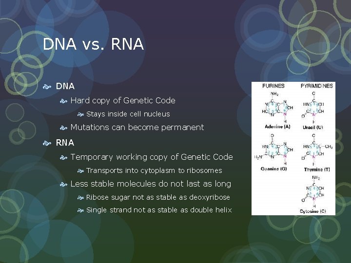 Genetics Building Blocks of Life What is Genetics