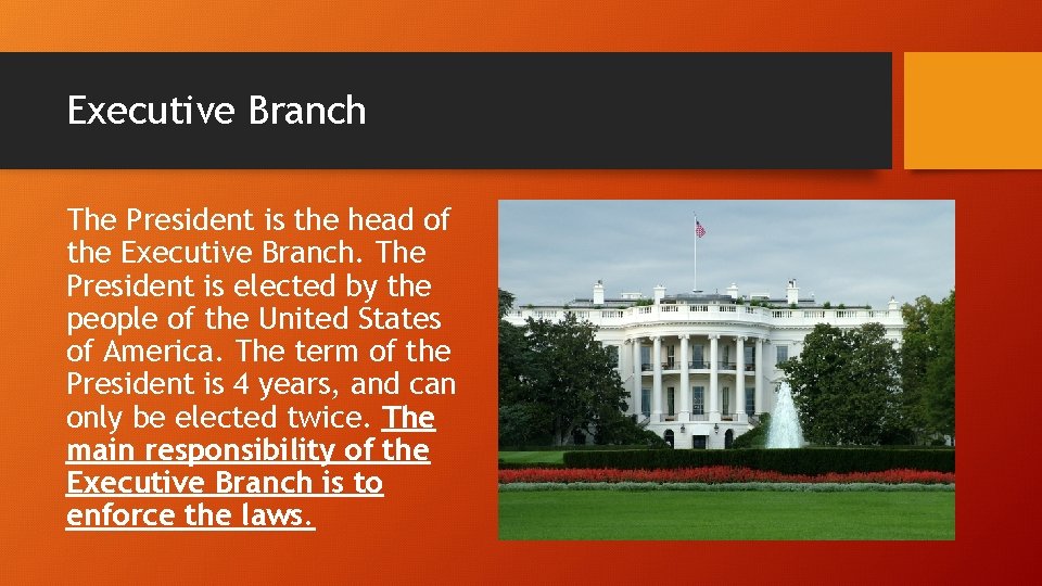 Three Branches of Government Grade 8 Social Studies
