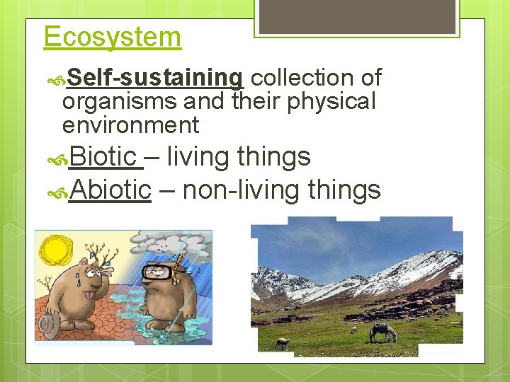 ECOLOGY Introduction Ecology is about Cause and Effect