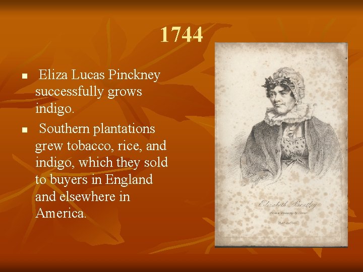 Gabriela Mrs Branin 5 th grade 1729 n