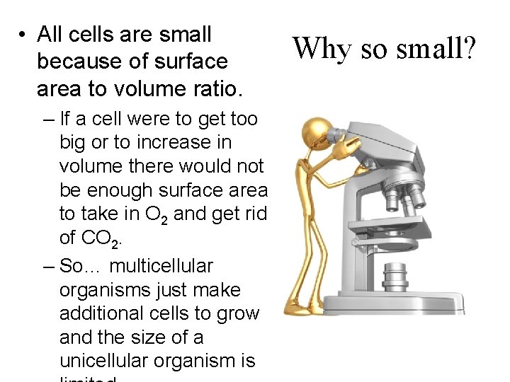 How are cells classified ribosomes organelle nucleus Cell