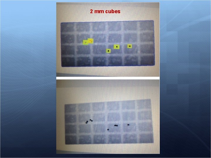 Foreign Object Detection in Food XRay Detectable XDTect