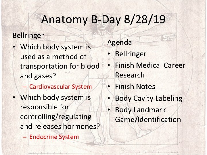 Introduction to Anatomy and Physiology BDay Anatomy 81919