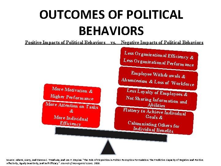 WHAT ARE THE CAUSES CONSEQUENCES OF POLITICAL BEHAVIORS