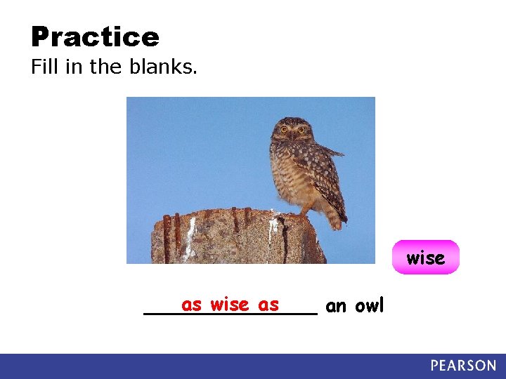 Primary Longman Elect 6 B Chapter 1 similes