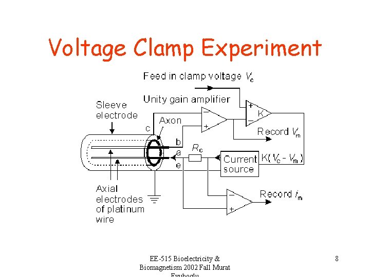 Cable Model Voltage Clamp Propagation of an Action