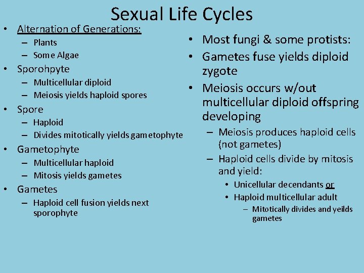 Ch 10 AP Biology Meiosis and Sexual Life