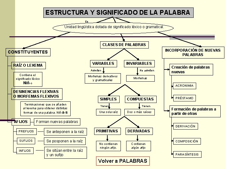 LA ESTRUCTURA DE LA PALABRA CLASIFICACIN DE PALABRAS