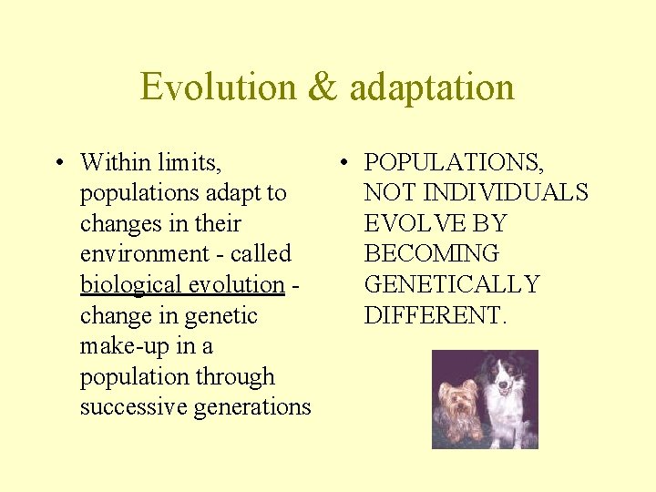 Evolution Biodiversity Chapter 5 Origins of life Chemical