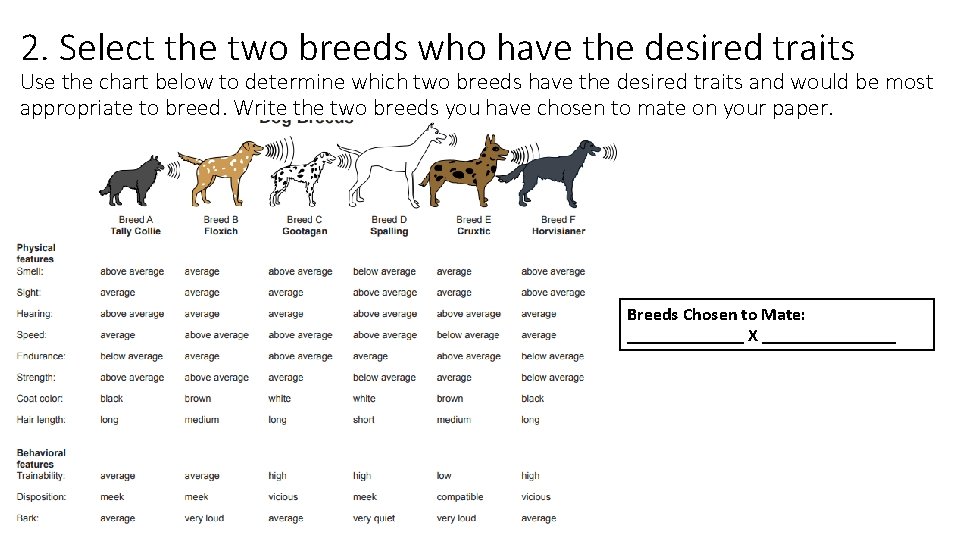 Breeding Dogs Activity You will need a sheet