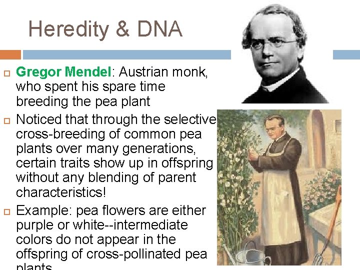 DNA HEREDITARY MOLECULES OF LIFE SBI 3 U